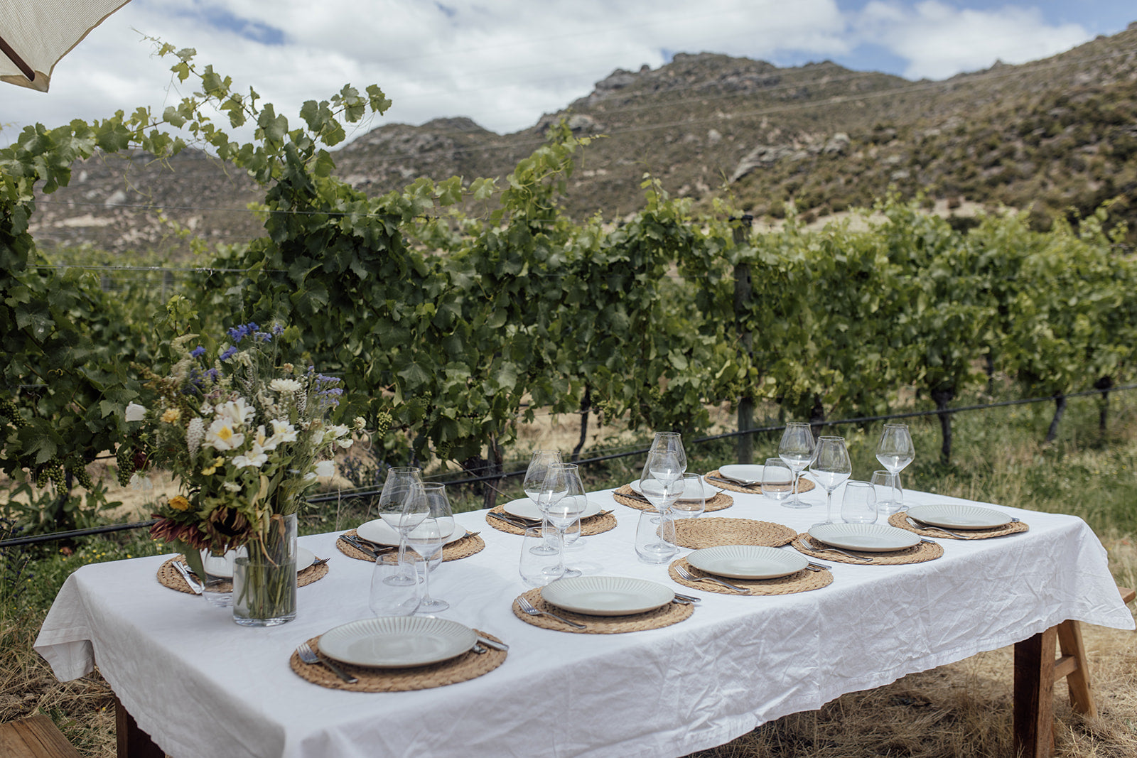 An Italian Long Lunch Amongst The Vines – Perriam