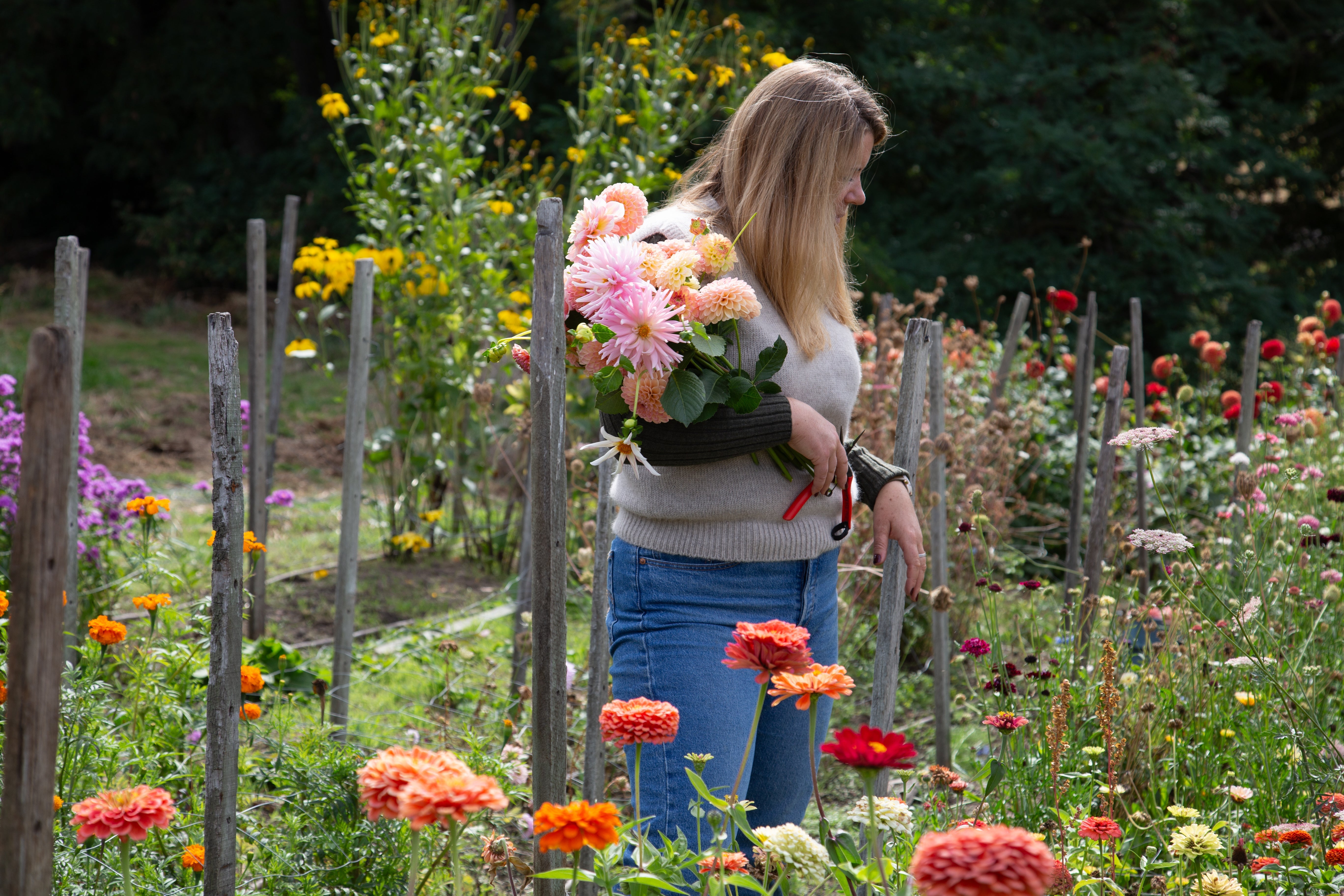 A Delightful Day Among the Blooms at The Joy Farmer’s Tarras Haven ...
